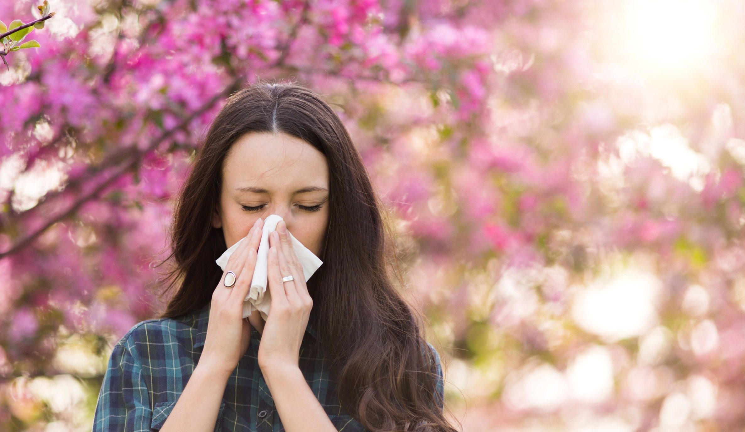 Allergy Season Right on the Horizon - Here is What to Expect - Breaking ...