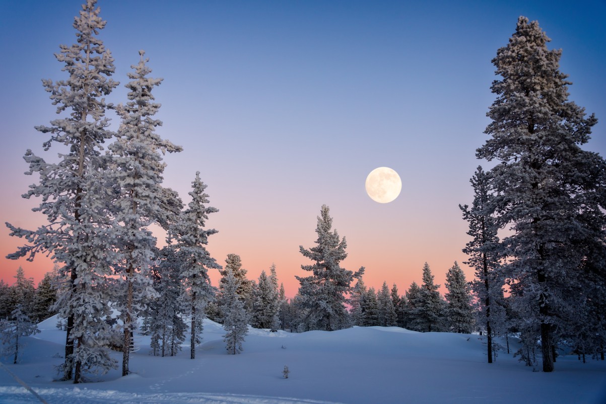 Beautiful Full 'Snow Moon' to Light up the Skies - Breaking Weather