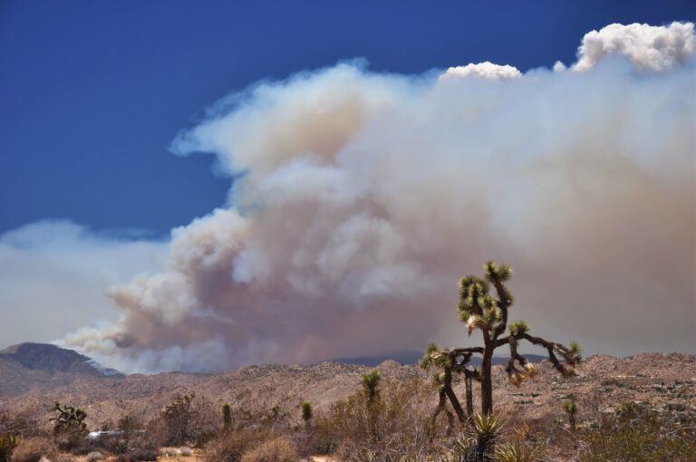 Strong Winds to Fuel Wildfire Spread in the Desert Southwest - Breaking ...