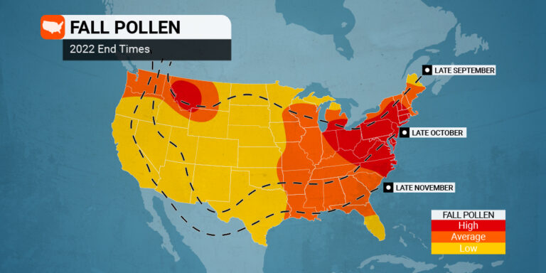 Fall Allergen Forecast Hints at What Areas of the U.S. Will Be Hit ...